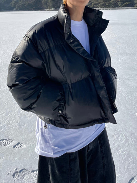 DISCERNMENT (ディーサーメント) - クロップグロッシーダウンジャケットBK / Crop glossy padding – einz.jp